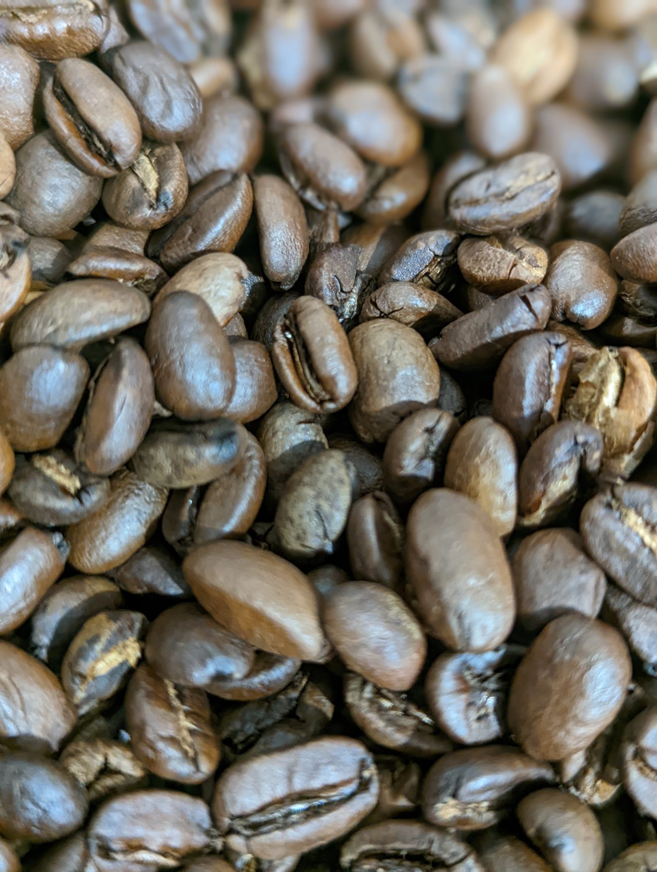 Ethiopia Longberry Deep Blue Harrar - Definitive Coffee Co. LLC